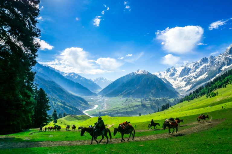 Gulmarg Ski Resort – Ski | Trek | Travel